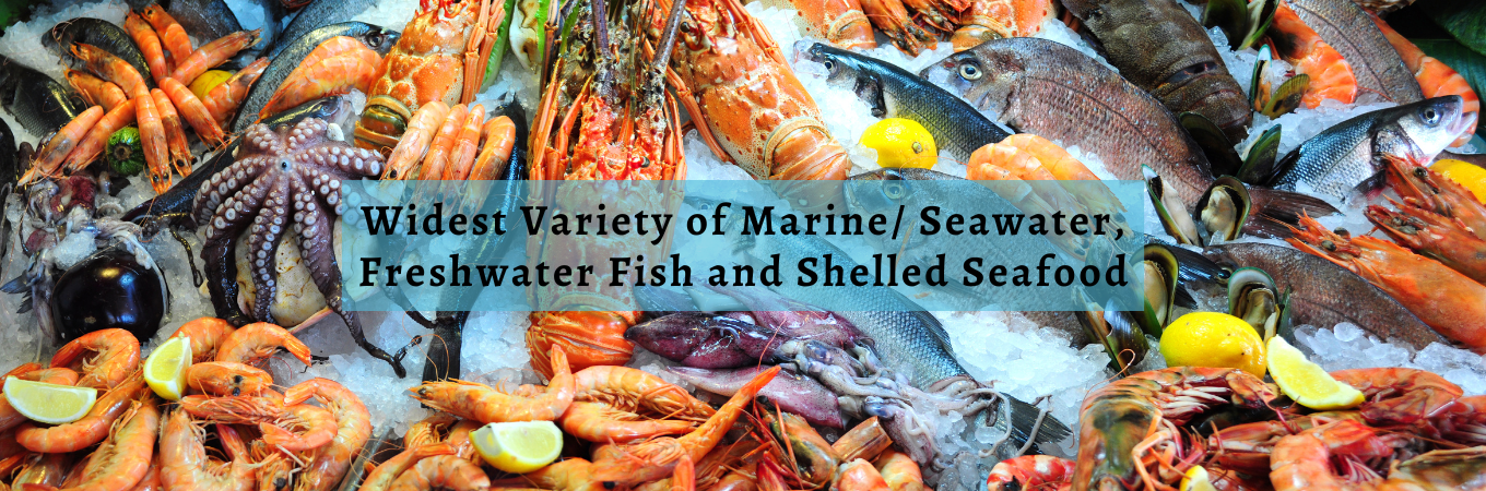 Bombay Fresh Fish – Seafood home delivery in Mumbai. Guaranteed Freshness