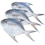 Home - Bombay Fresh Fish